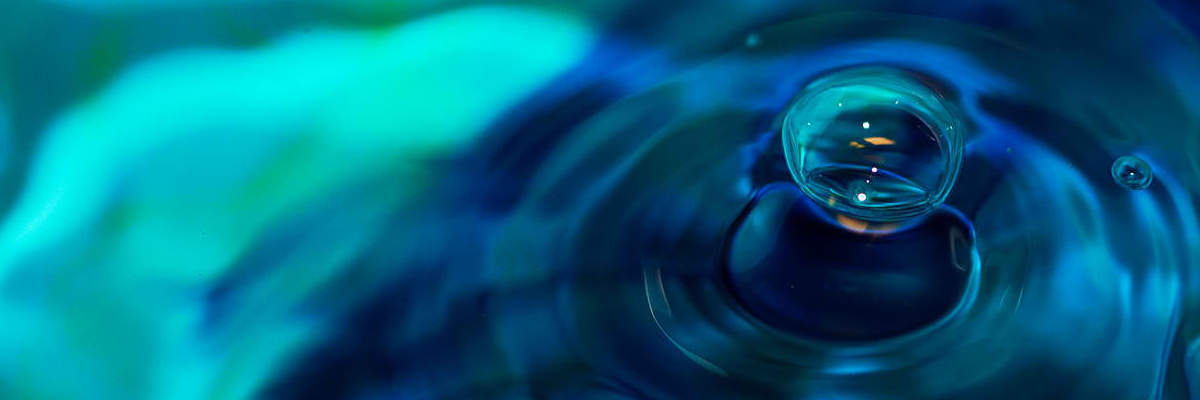 Dr. Victoria Ellison